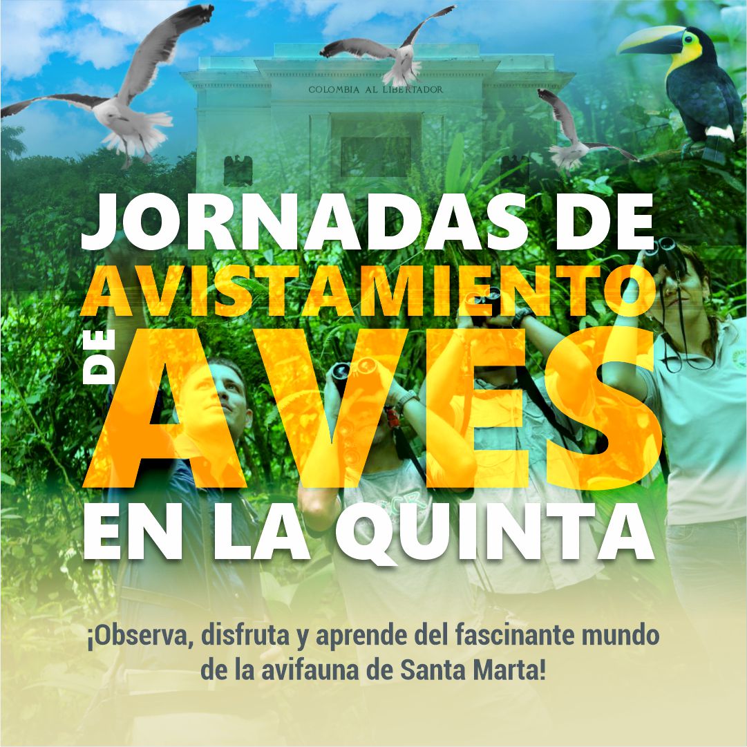 Jornadas de Avistamiento de Aves en la Quinta - Fundación Museo ... Jornadas de Avistamiento de Aves en la Quinta - Fundación Museo ...
